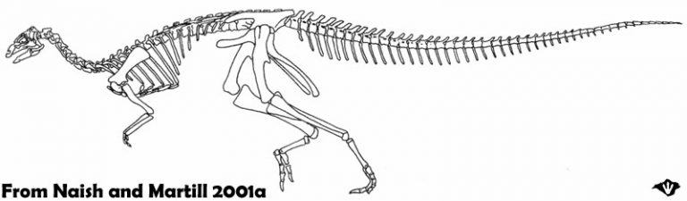 Valdosaurus, an Isle of Wight dryosaurid - DinoWight