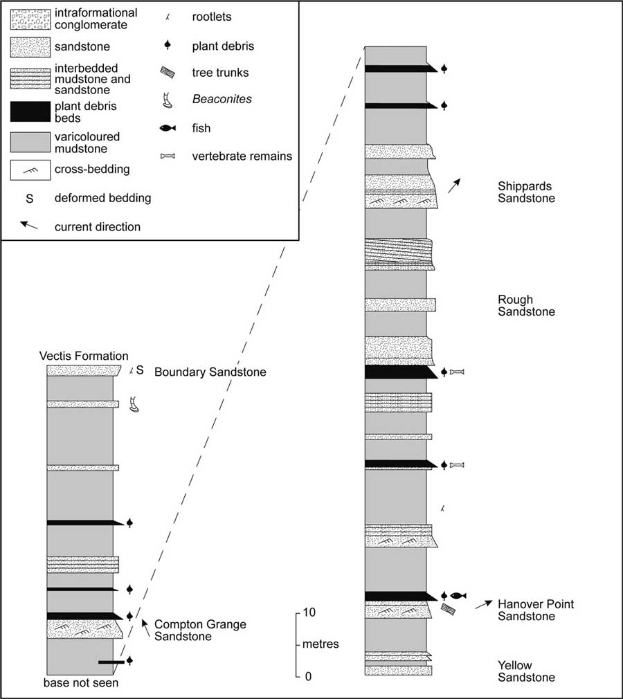 The Geology of the Wessex Basin - DinoWight
